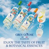 GREY GOOSE Vodka, 1.75 L Bottle, ABV 40% - Walmart.com
