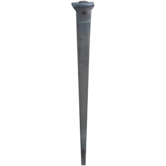 Acorn Manufacturing CK40L 40D Cut Spike with Standard Nails, 5 lbs ...