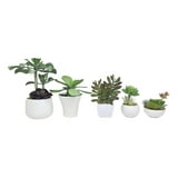 Set Of 5 Realistic Artificial Faux Botanica Succulents In Ceramic Mini ...