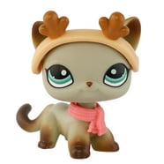 Pink White Sparkle Glitter Short Hair Cat Littlest Pet Shop LPS 2291 ...