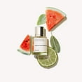 Dossier Aromatic Watermelon Eau de Toilette, Inspired by Ralph Lauren's ...