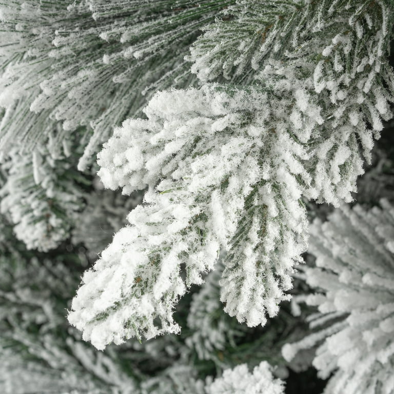 Snowy Christmas Tree Branch