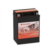 EverStart Premium AGM PowerSport Battery, Group Size TX14AH 12 Volt ...