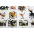 Montessori Animal Match - Miniature Farm Animal Toy Figurines with ...