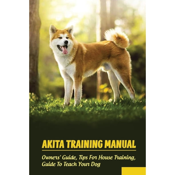 Akita How To Train