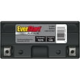 Free Shipping! EverStart AGM PowerSport Battery, Group Size TZ7S, 12V ...