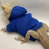 Bearded Dragon Clothes Costume Accessories Apparel Clothing Hand-made ...