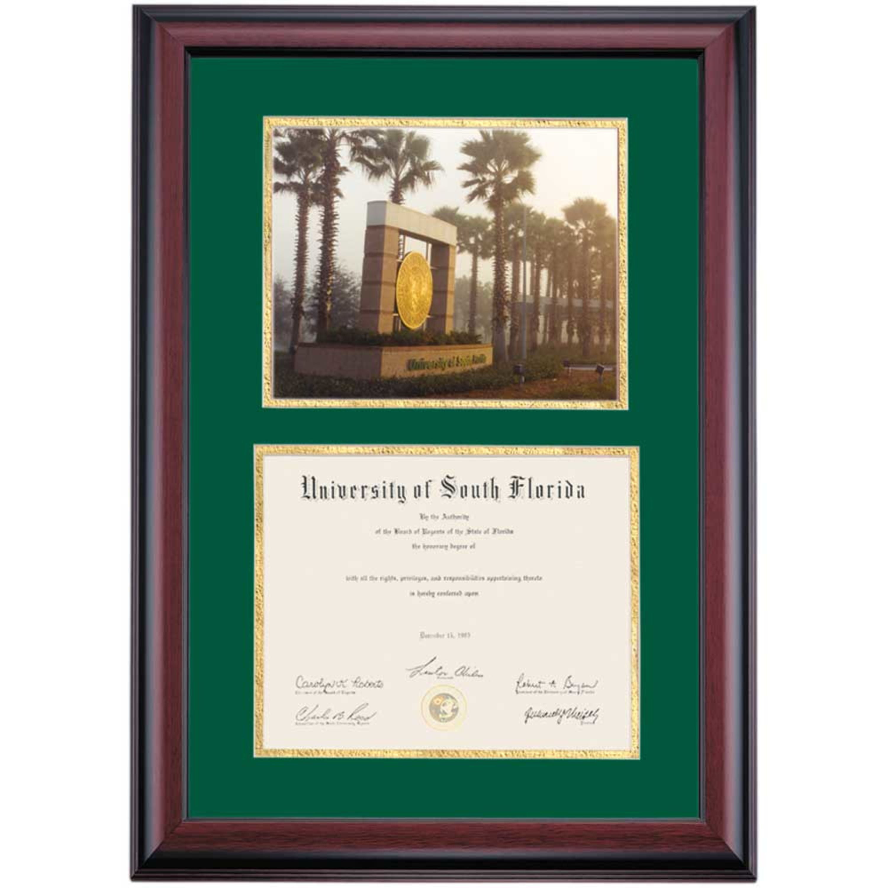 OCM Diploma Frame for University of South Florida USF, Hunter Green ...