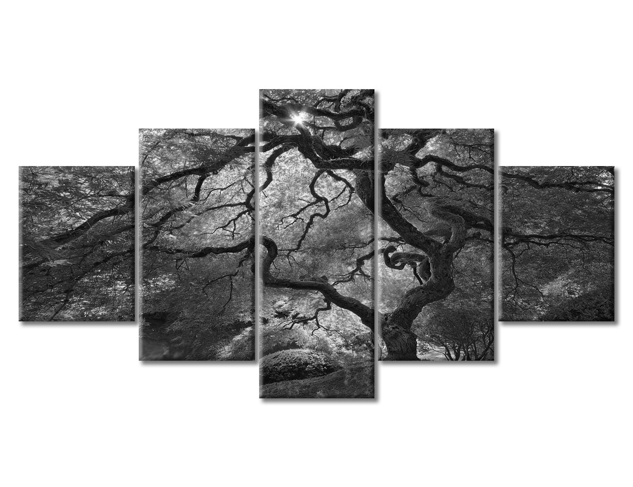 TISHIRON 5PCS Framed Canvas Wall Art Set,60"x32" Big Tree in Forest ...