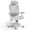 STAPLES Dexley Mesh Task Chair, Adjustable Lumbar Support, Ergonomic ...