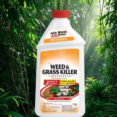 Ranger Pro Lawn Eliminator, Grass & Weed Killer Herbicide Concentrate ...