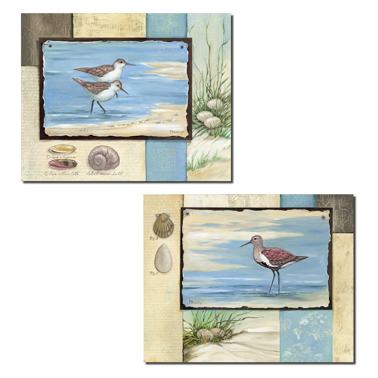 Sandpiper Collage I Classic Oceanside Sandpiper Set; Two 14X11 Poster ...