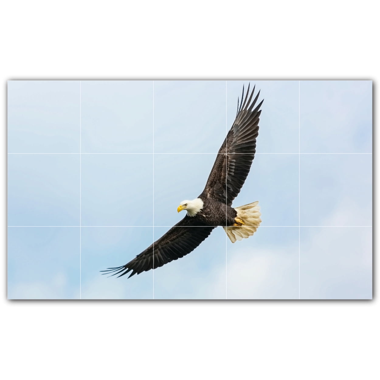 Picture-Tiles.com: Bird Ceramic Tile Wall Mural WAL500169-53XL. 60"W x ...
