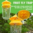 Fruit Fly Trap Killer Yellow Plastic Drosophila Trap Fly Anti F FF Fruit J8P8 - Walmart.com