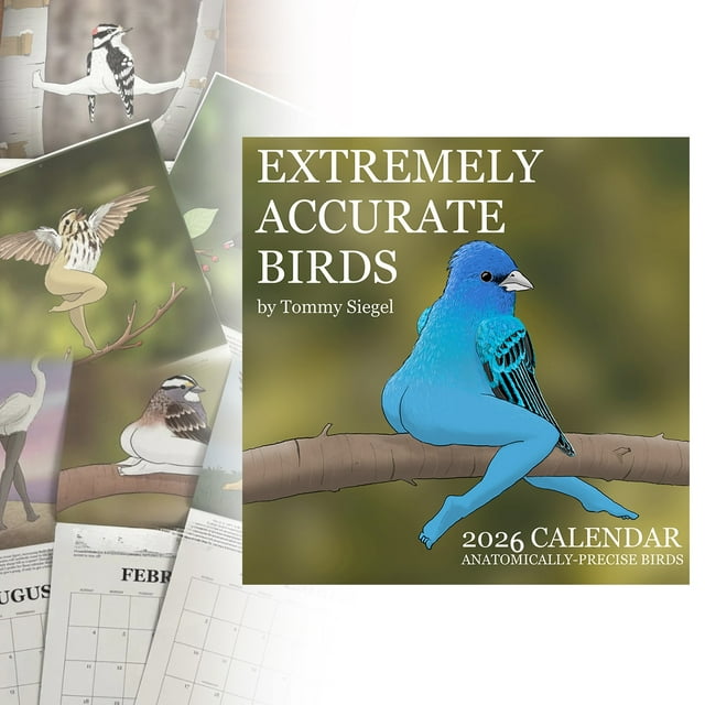 Calendrier de Bureau Motif Oiseau 2026 Calendrier de Bureau Motif ...