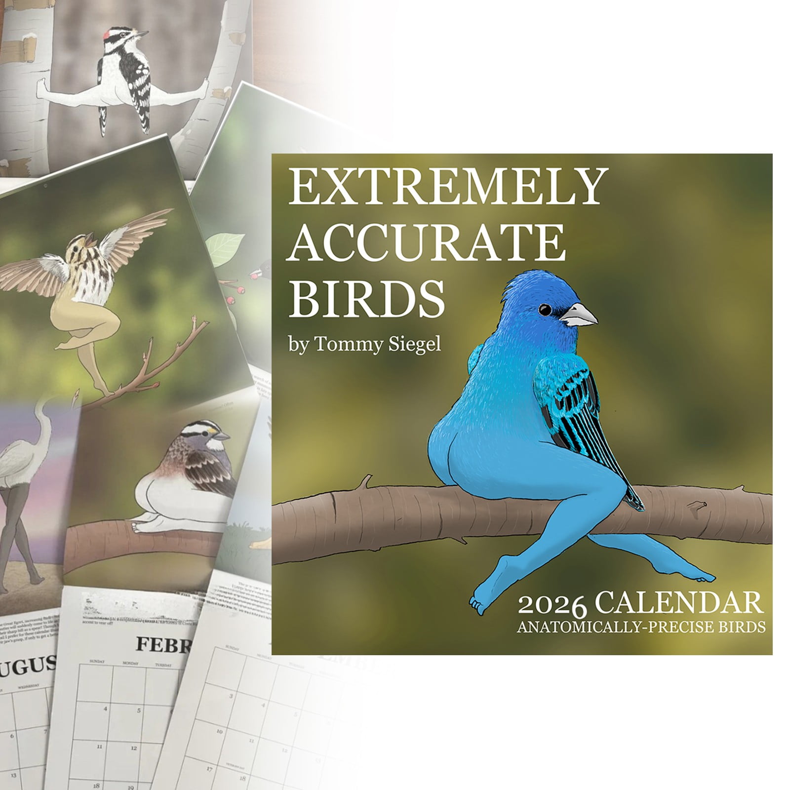 Click here for Nanoei 2026 Bird Pattern Desk Calendar  Wall Hangi... prices