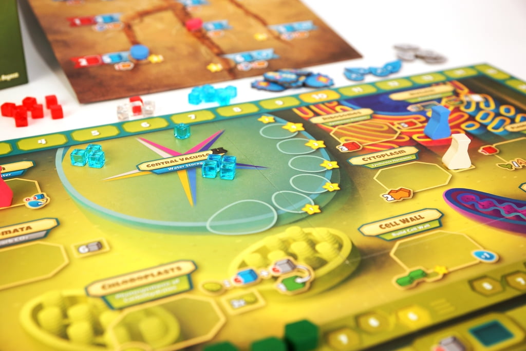 Buy Cellulose: A Plant Cell Biology Game | Family Board Game for Kids ...