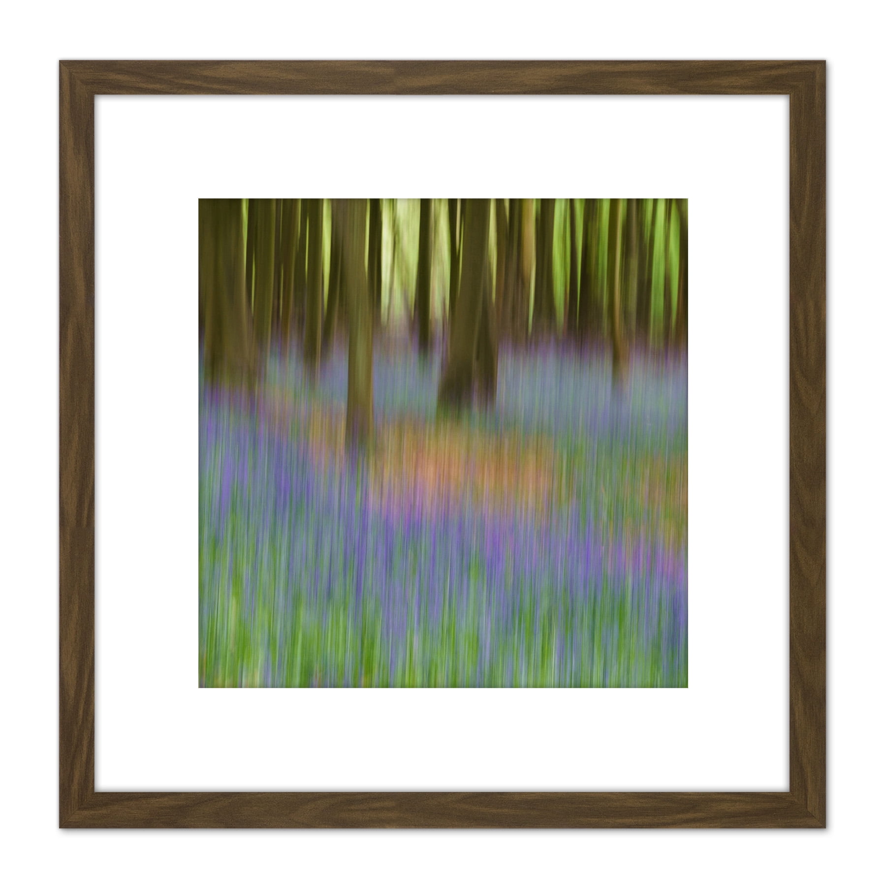 Colin Bluebells Beech Trees Impressionist 8X8 Inch Square Wooden Framed ...