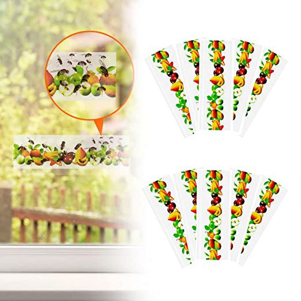 SHAR 10 Pcs Fly Trap for Window, Flies Trap Window Sticker, Indoor Fly ...