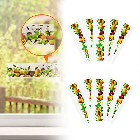 SHAR 10 Pcs Fly Trap for Window, Flies Trap Window Sticker, Indoor Fly ...
