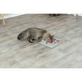 TRIXIE Kitty Enrichment Poker Box Game, Interactive Puzzle & Treat ...
