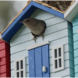 Home Bazaar Brighton Beach Huts Birdhouse - Walmart.com