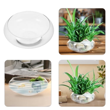 Desktop Fish Bowl Hydroponic Terrarium Glass Small Fish Tank with ...