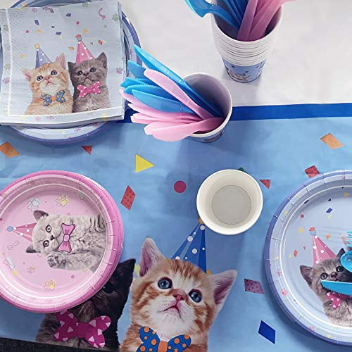 Kitten Party Theme