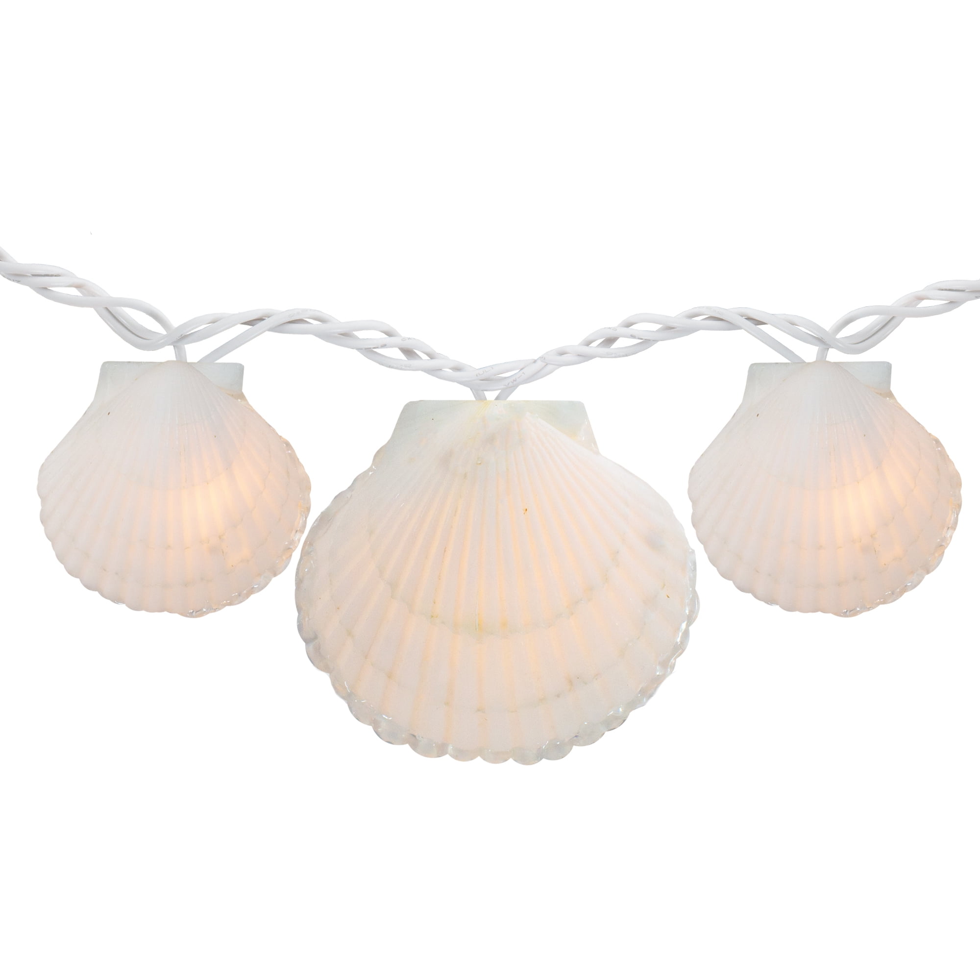 30 Count White Scalloped Seashell Novelty String Lights, 14.5 foot ...