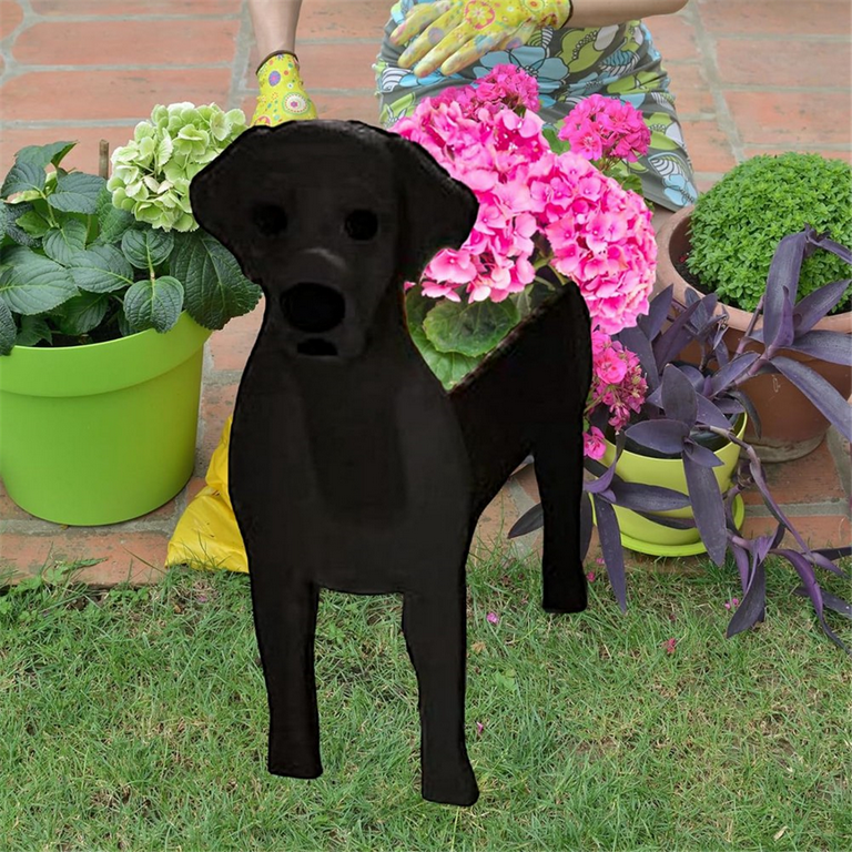 Birthday Funny Dog Pot