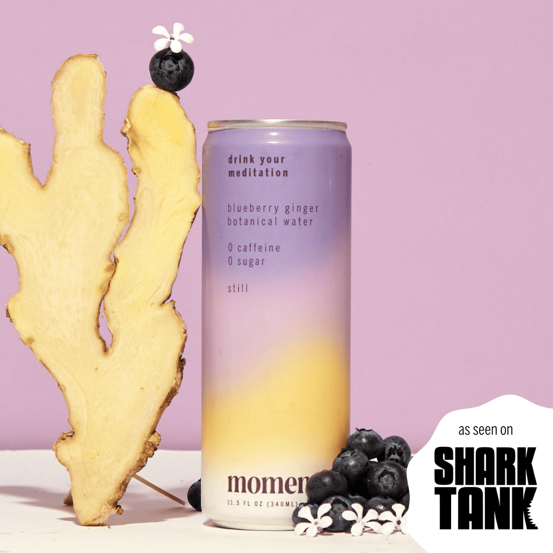 Moment Botanical Water, Blueberry Ginger, Still, Zero Added Sugar, 12 ...