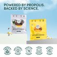 Beekeeper's Naturals Propolis Honey Lozenges, Natural Cough Relief, 14 ...