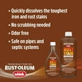Whink Rust Stain Remover | Heavy-Duty Iron Stain Remover for White ...