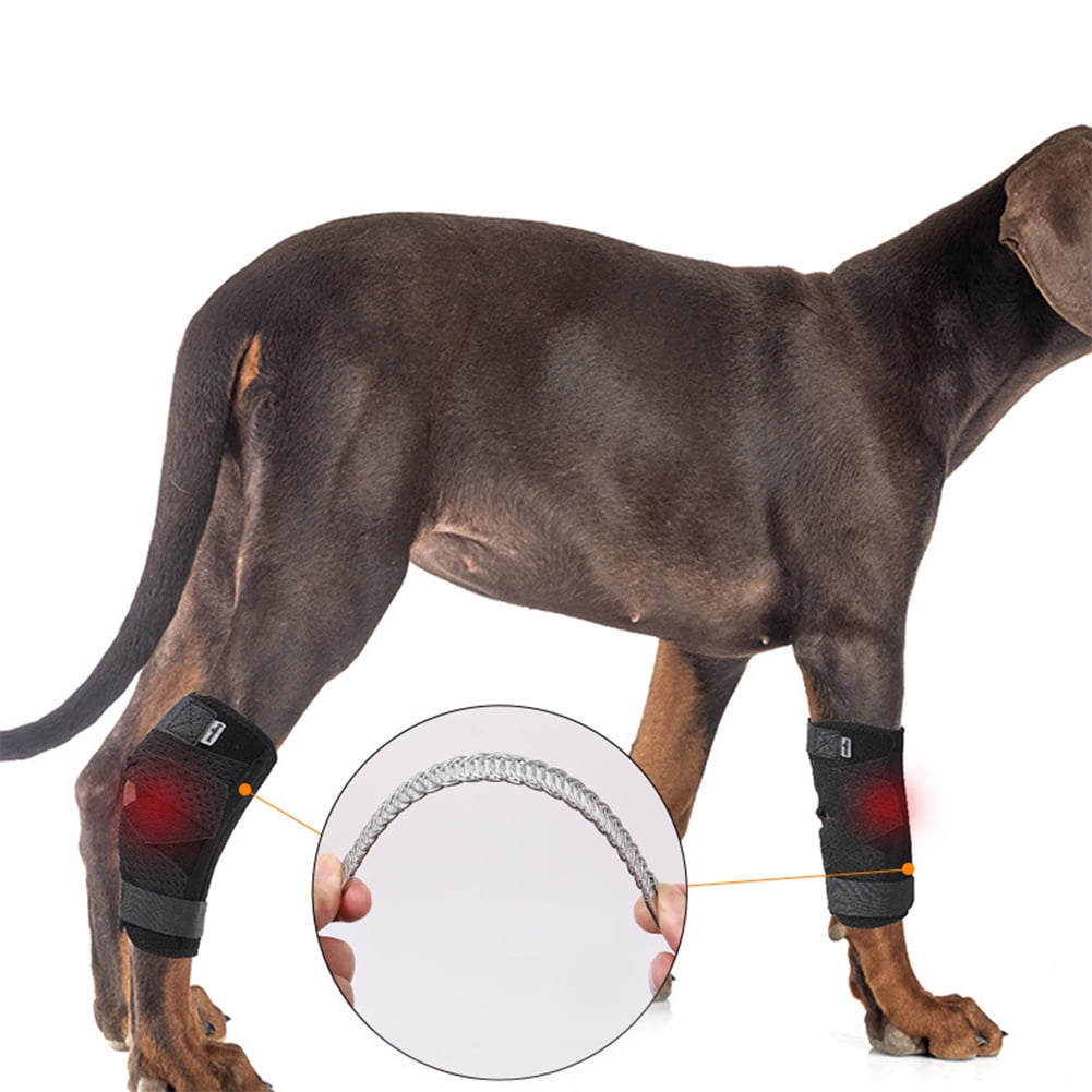 Furvclv Dog Leg Braces For Back Legs Safety Straps With Metal Strips ...