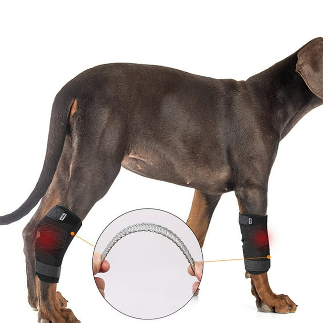 Furvclv Dog Leg Braces For Back Legs Safety Straps With Metal Strips ...