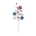 4th of July Table Decorations, Independence Day Red White Blue Star ...