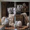 Blackout Curtains Cute Gray Cat Funny Pet Animals Pattern, 3D Printed ...