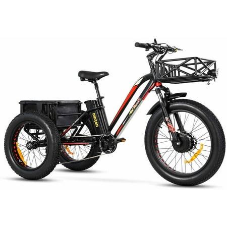 Addmotor 24/20 Inch Electric Tricycles for Adults, 750W 48V 17.5Ah ...