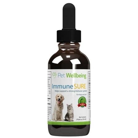 Tomlyn Immune Support L-Lysine Chews for Cats and Kittens Fish Flavor ...