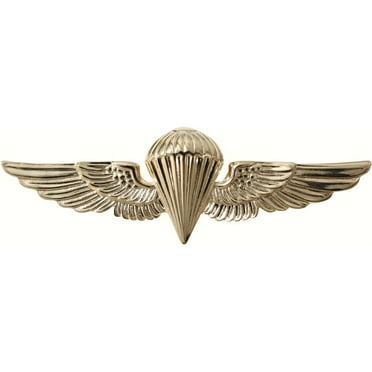 Polished Gold - Military Captain Pin-On Insignia Pair CPT - Walmart.com