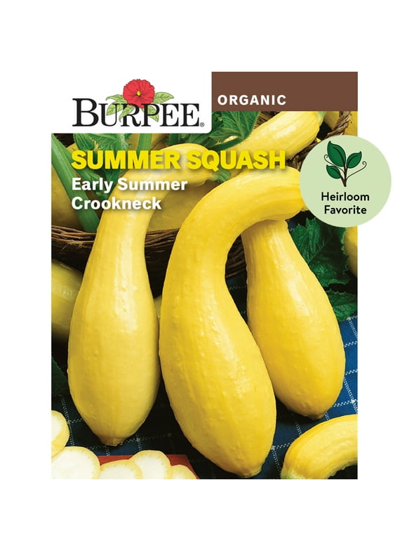 Squash Seeds in Seed Gardening - Walmart.com