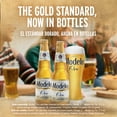Modelo Oro Mexican Lager Import Light Beer, 12 Pack 12 fl. oz. Cans, 4. ...