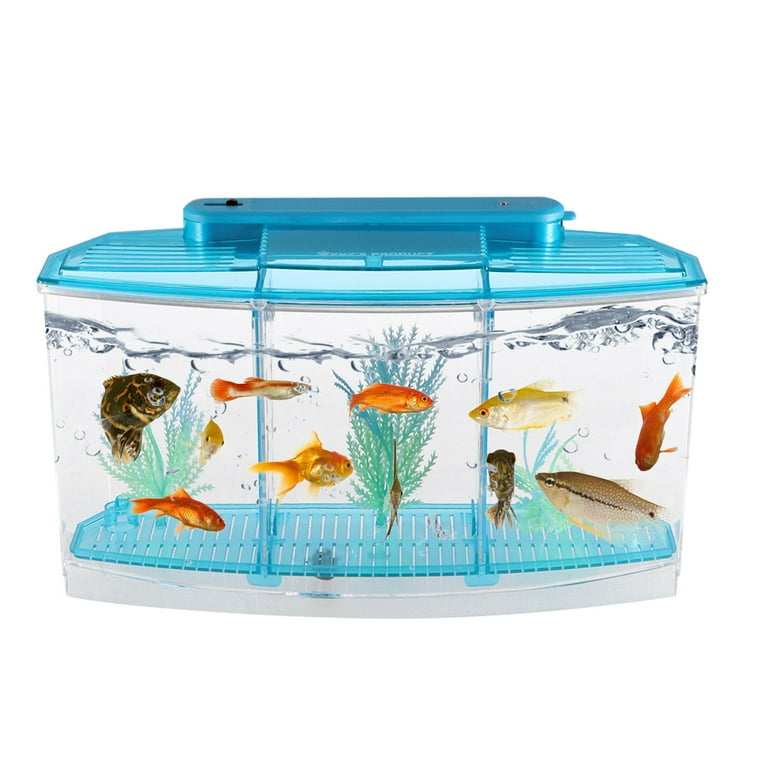 Fish Tanks For Sale At Walmart