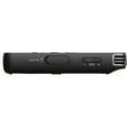 Sony 4GB Digital Voice Recorder, Black, Noise Cut, Mono Microphone ...
