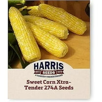 Harris Seeds - Xtra-Tender 274A Sweet Corn Seeds Cylindrical Bicolor ...