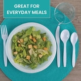 PLASTICPRO 9-inch Round Plastic Plates, Large Disposable Dinnerware for ...