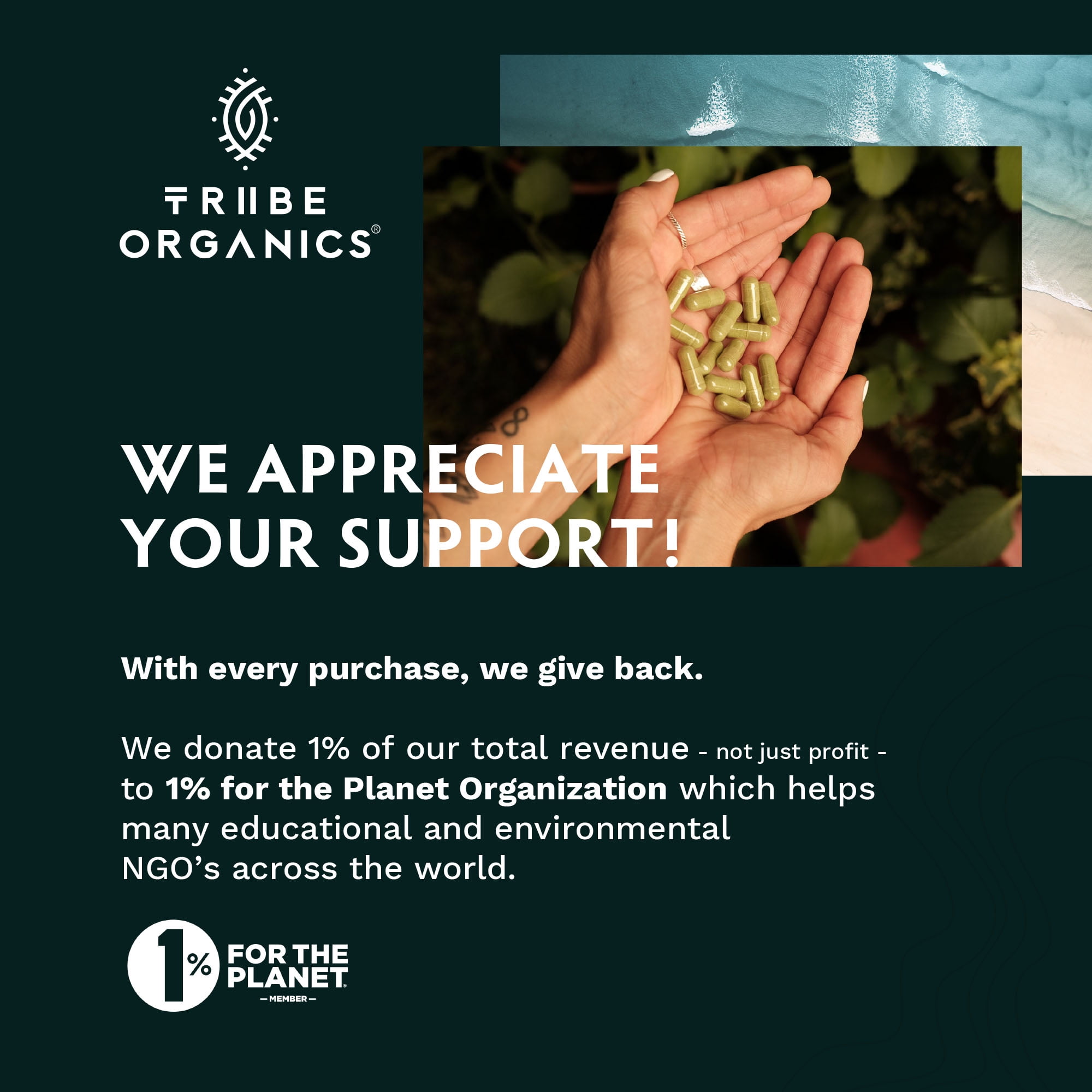 Buy Tribe Organics, 420mg Boswellia Complex Herbal Supplement for Joint ...