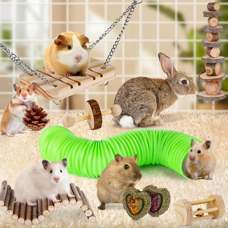 DIY.STORE 12 PCS Hamster Toys Guinea Pig Toys Small Animal Chewing Toy and Rat Cage Accessories Chinchillas Gerbils Rats Rabbit Rodents Teeth