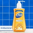 Dial Complete Liquid Hand Soap Gold 11oz - Walmart.com
