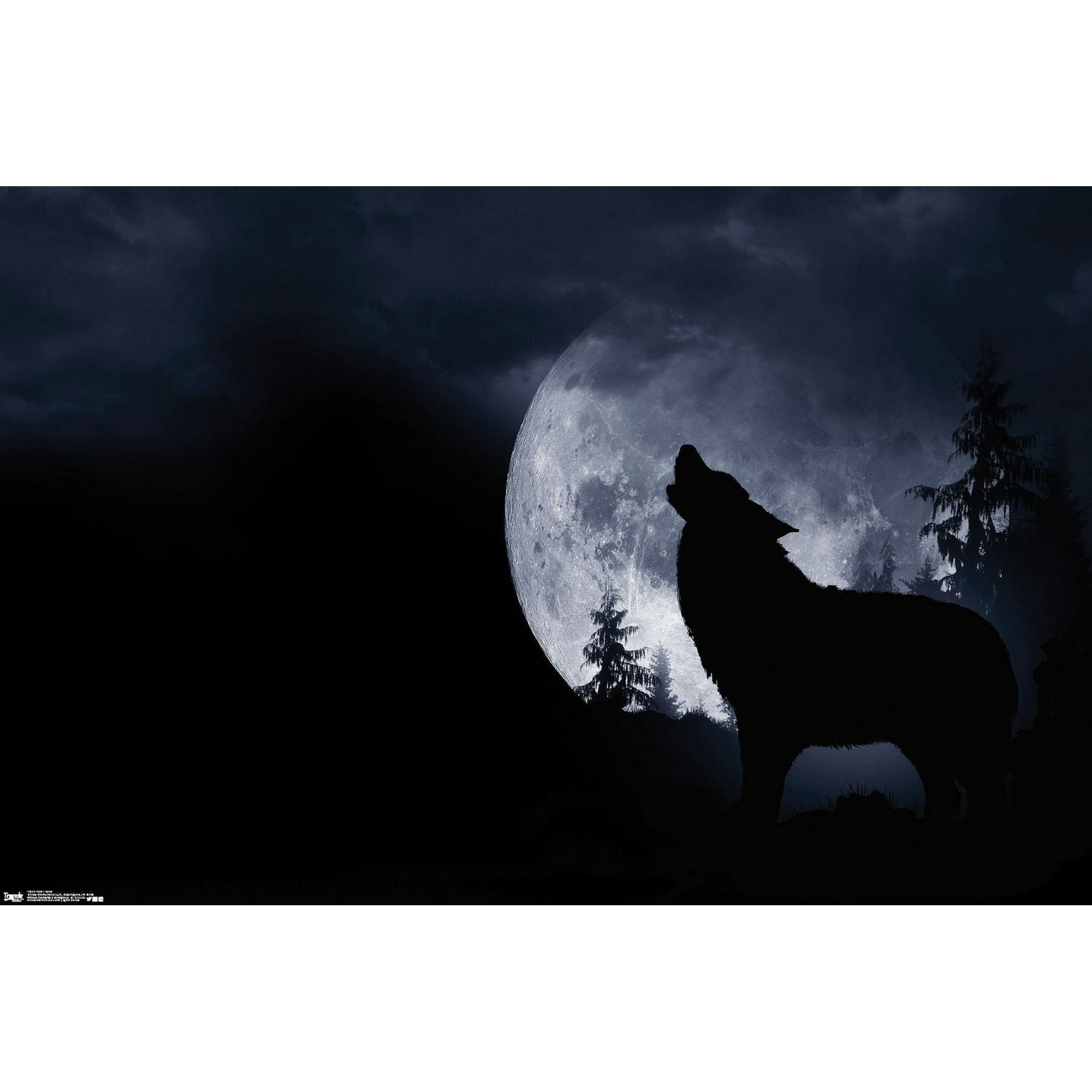 Click here for Trends International Wolf - Howl Wall Poster  22.3... prices